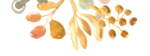 Cardápio – Ninna Cozinha – Ninna Cozinha